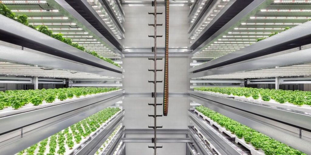 Компания Infarm сокращает свой бизнес в Европе – City Farmer
