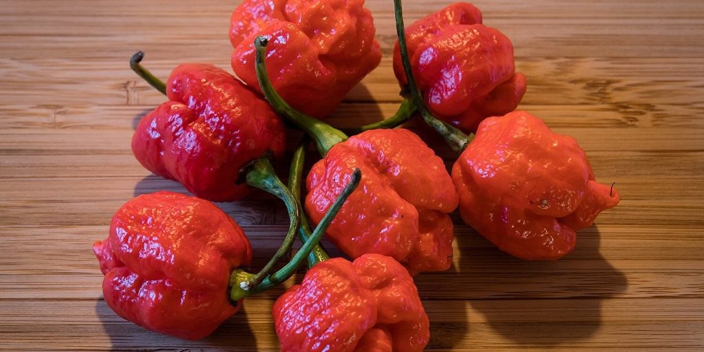 Как и кем был создан острый перец Tinidad Moruga Scorpion